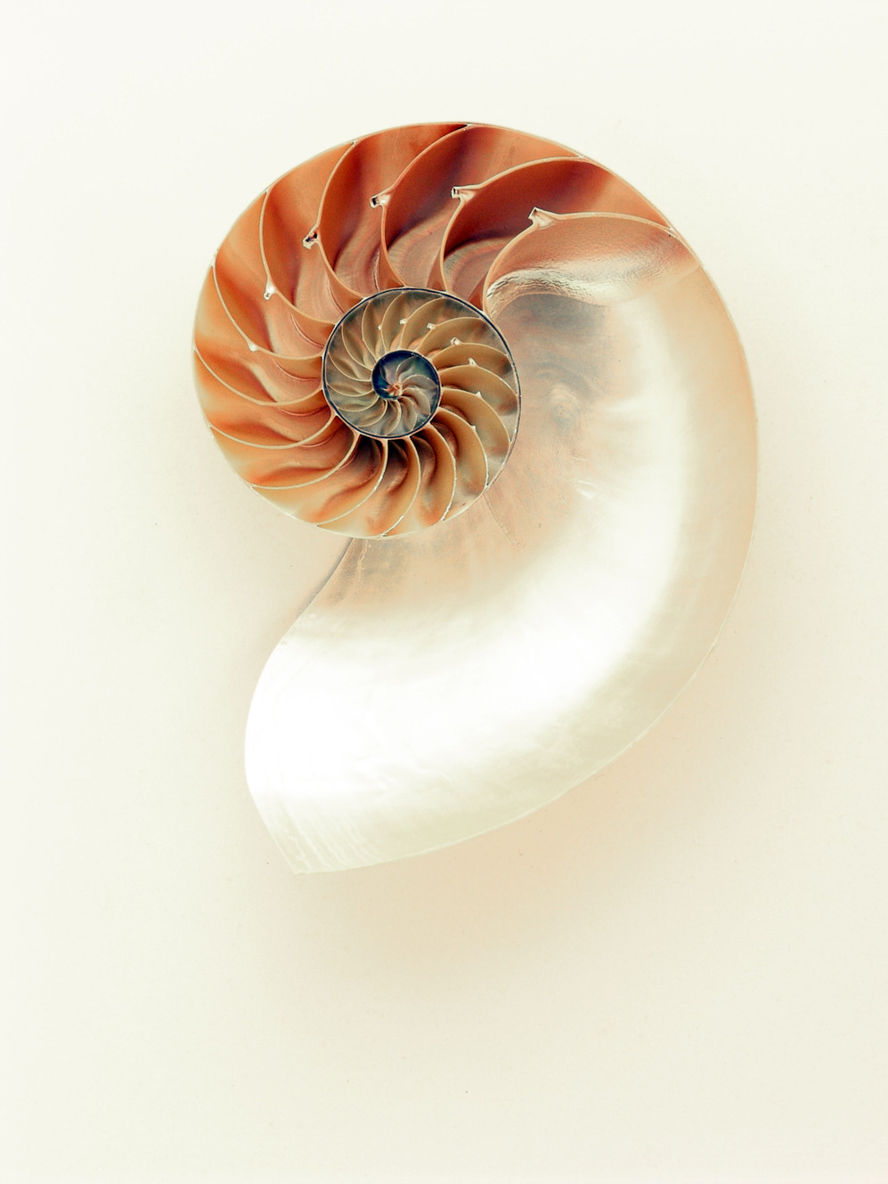 About Us | Ebb and Flow Inst.