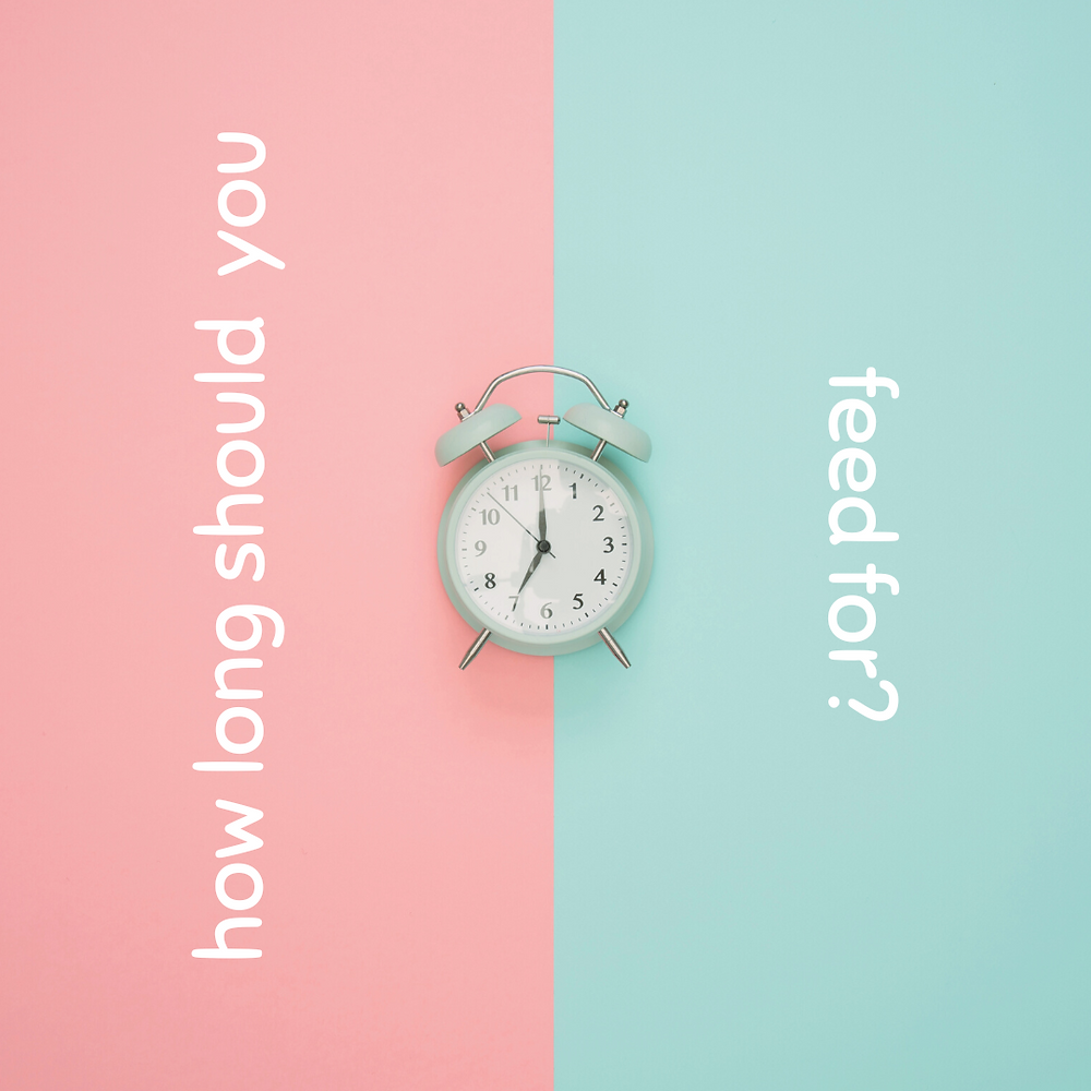 How Long Should You Feed For how-long-should-you-feed-for