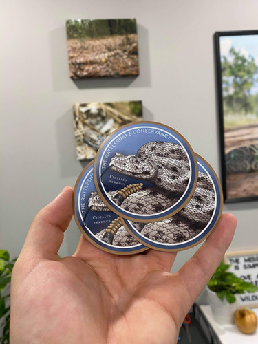 Speckled Rattlesnake Magnet | save-the-buzztails