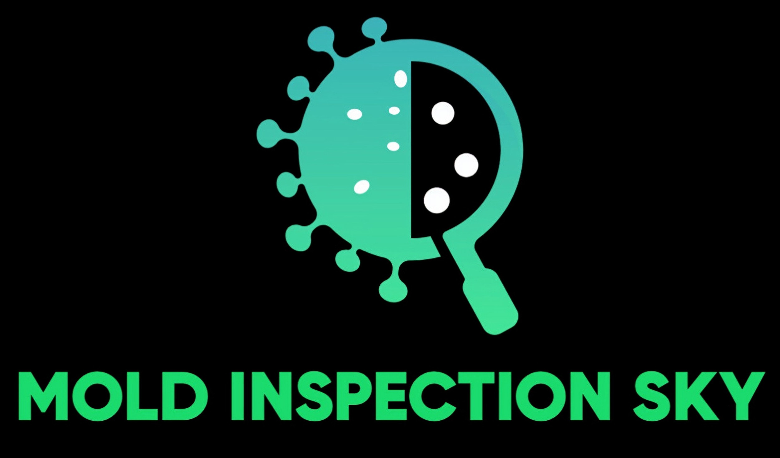 Mold Inspection And Testing | MOLD INSPECTION SKY