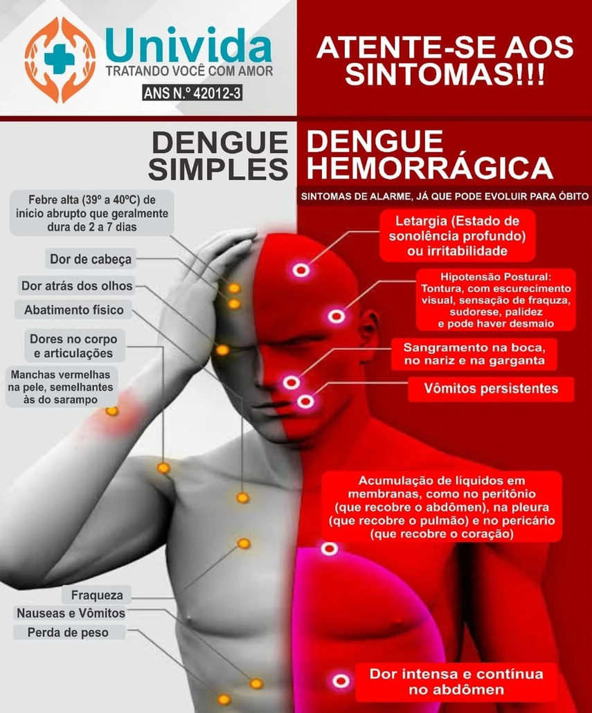 SINTOMAS DE DENGUE SIMPLES E DENGUE HEMORRÁGICA