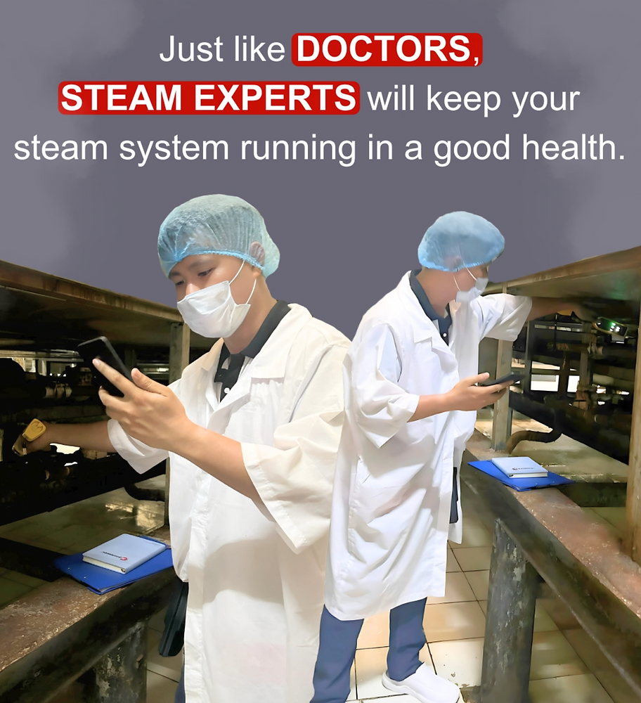 Steam Energy Audit Services | Silver Horizon Experts