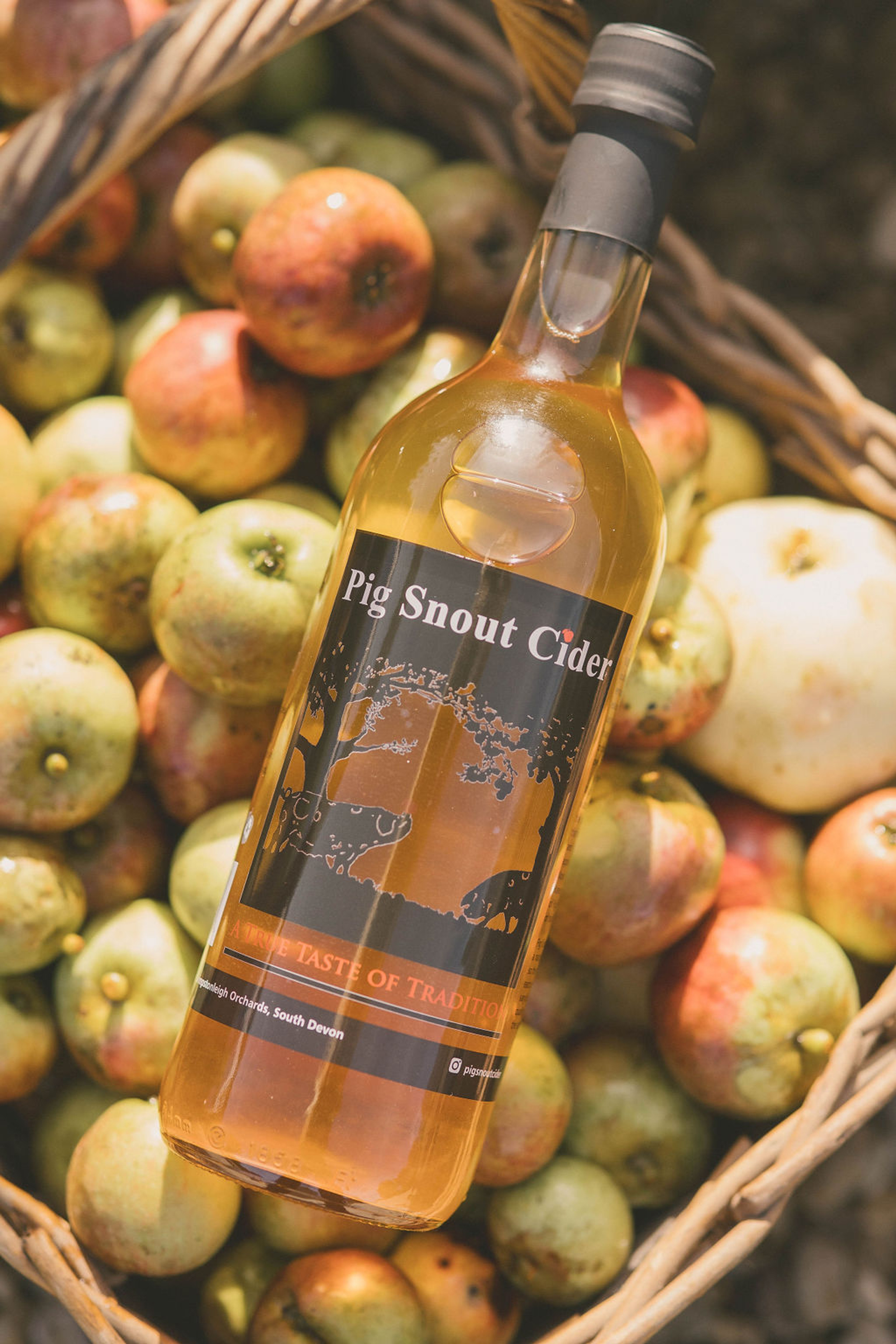 Pig Snout Cider | vintage cider