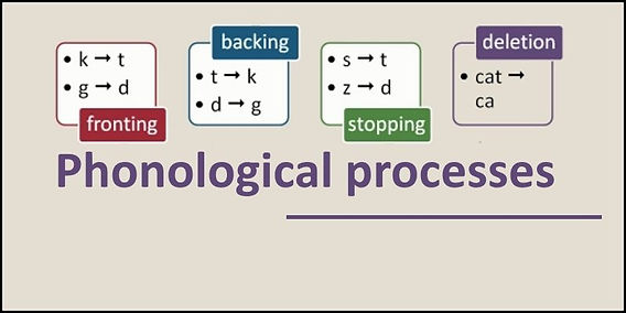 palatal fronting phonological process