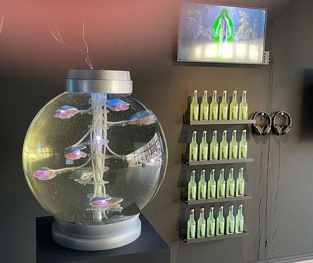 Stephanie Rothenberg | Ecoartnetwork