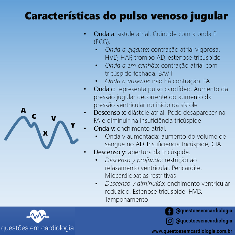Características do pulso venoso jugular