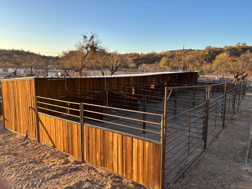 6 Stall Shedrow | Black Star Pipe