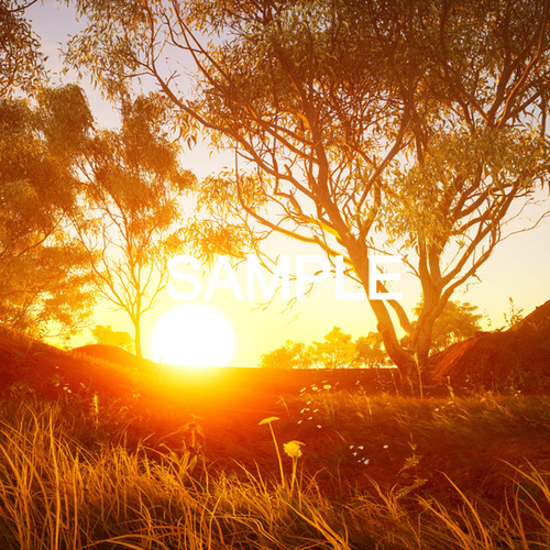 Custom 3D Animated Scenic Projections - Full Show Package | SLShowTech