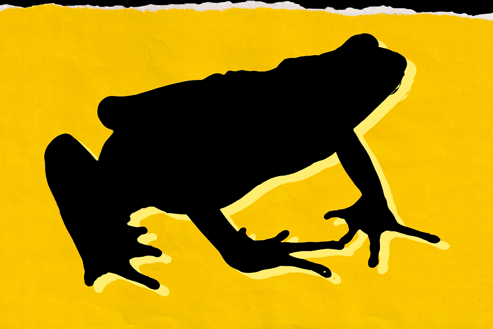 Where Have All the Frogs Gone?