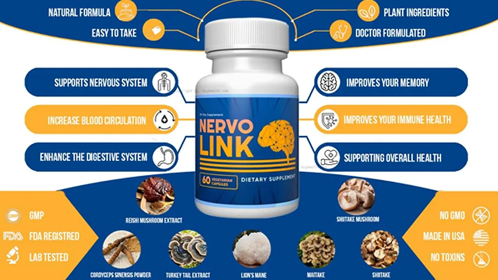 Nervolink Review | Fortify and Protect Your Nervous System Naturally.