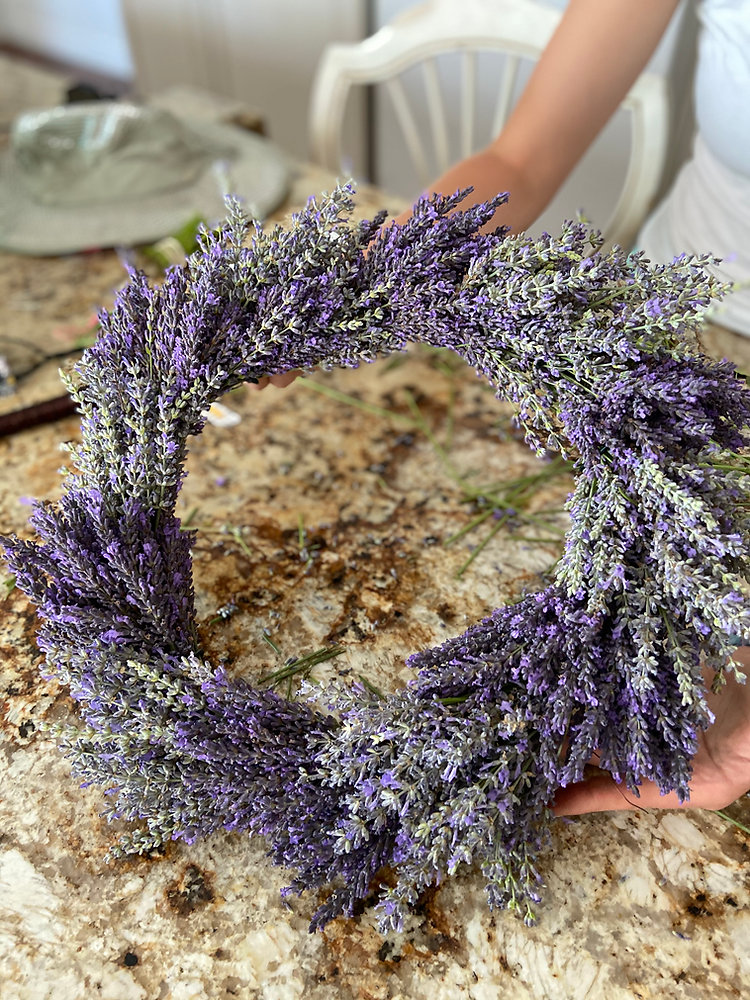 Lavender Fun