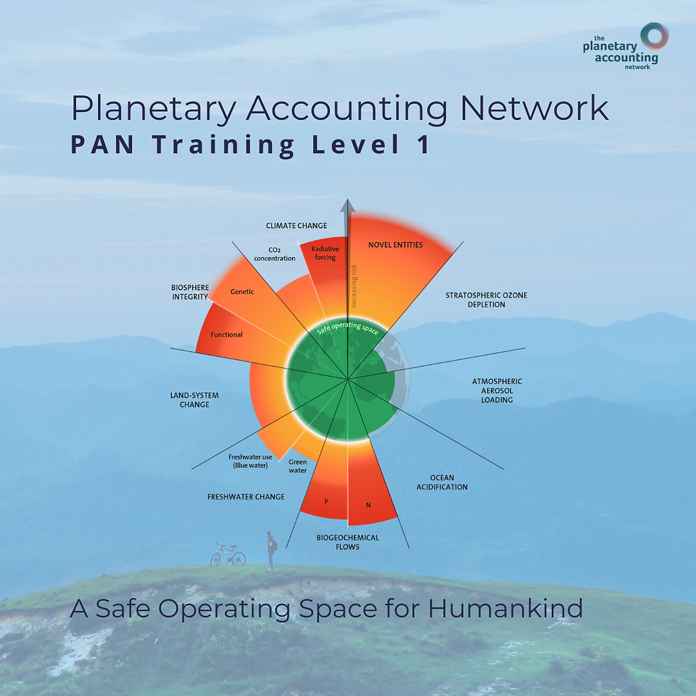 Level 1 | Planetary Accounting