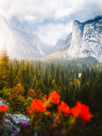 Jake Guzman | Photo Portfolio | Jake Guzman Photography