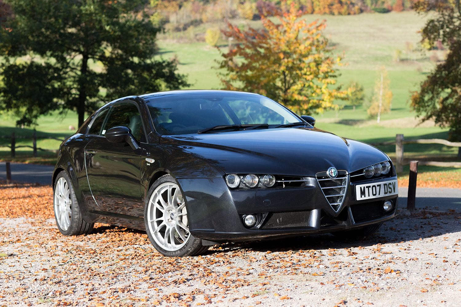 Autodelta cars for sale