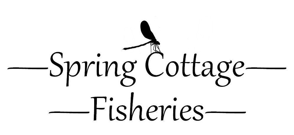 Rules/Price | Spring Cottage Fisheries | Swadlincote