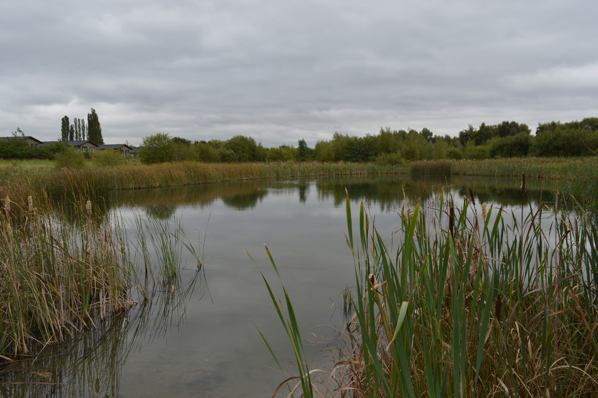 Spring Cottage Fisheries | Chestnut Pool