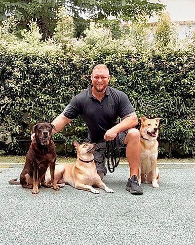 About | Noble Canine