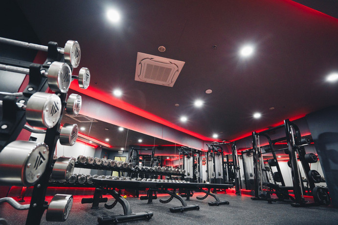 What The Fit Gym | Premium Commercial Gym | New Gym in CBD Area