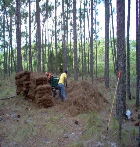 MOBILE PINE STRAW BALERS