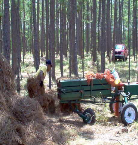 MOBILE PINE STRAW BALERS