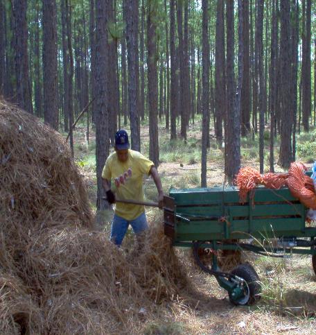 MOBILE PINE STRAW BALERS