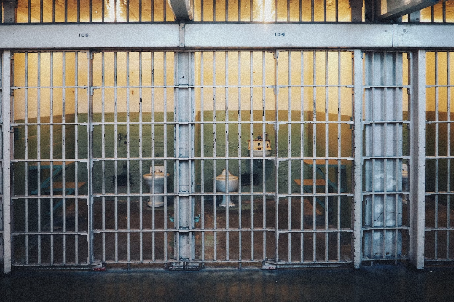 Emerging from the shadows of authoritarianism: Immigration detention ...
