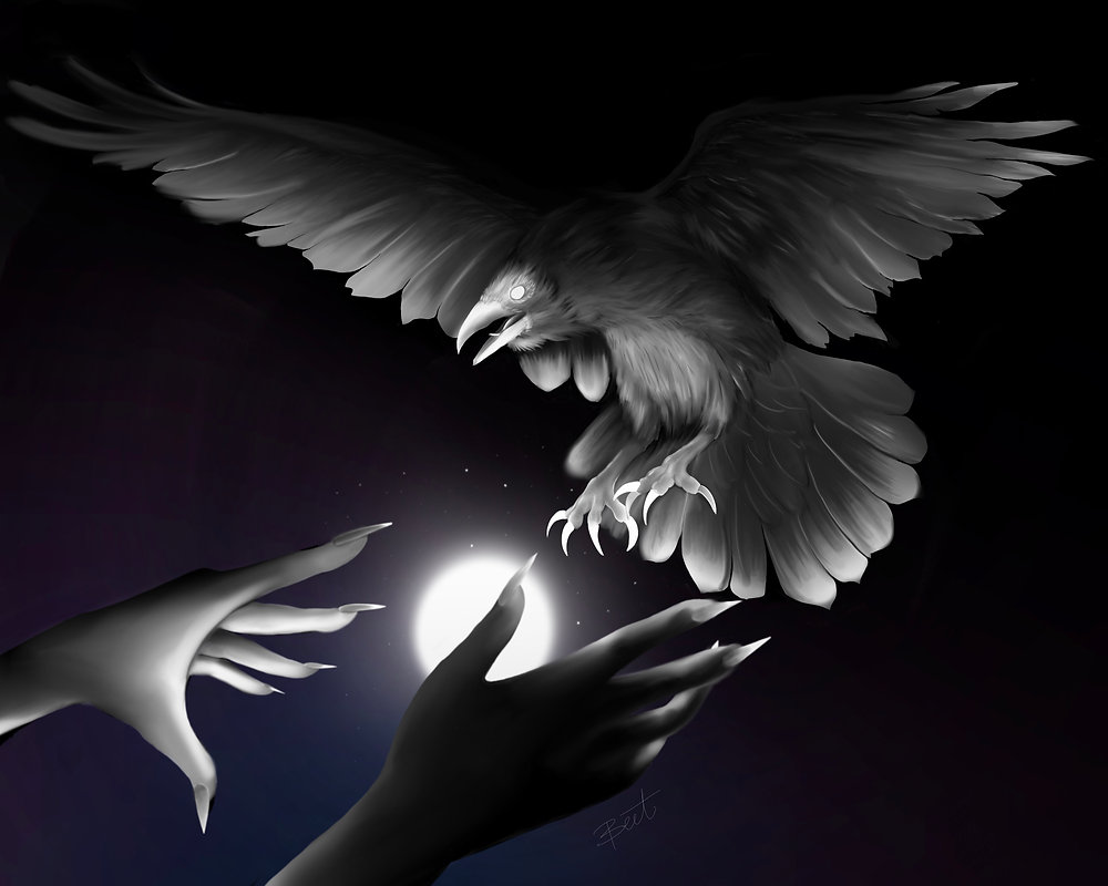 Elizabeth Kamm, Artist of the Month