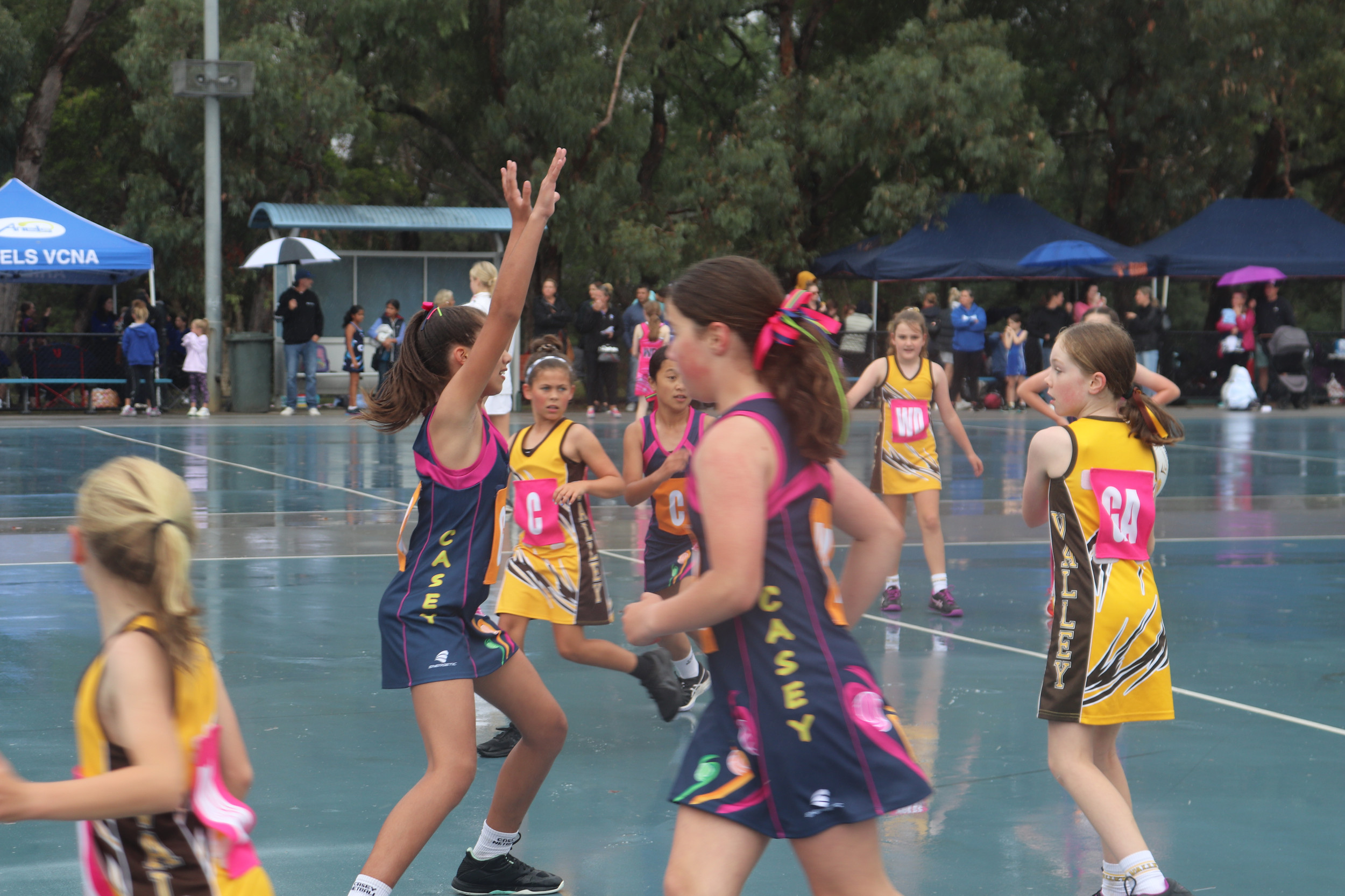 Casey Netball Association | caseynetball.com