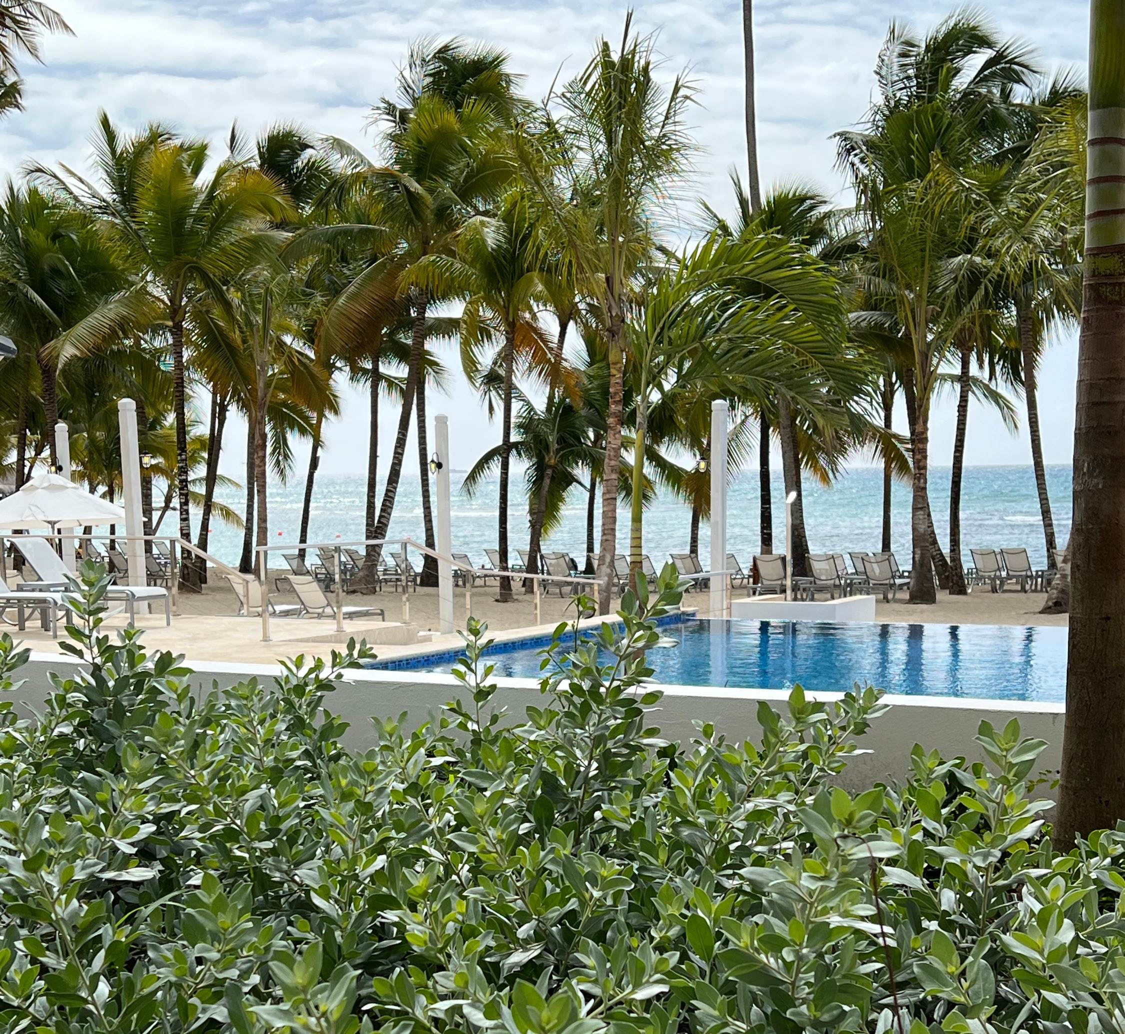 Mantenimiento CLUB HEMINGWAY BY STARLIGHT | Green Garden Corp.