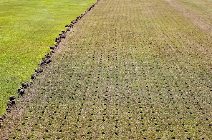 Pinchado en los campos de golf Parte IV | Green Garden Corp.