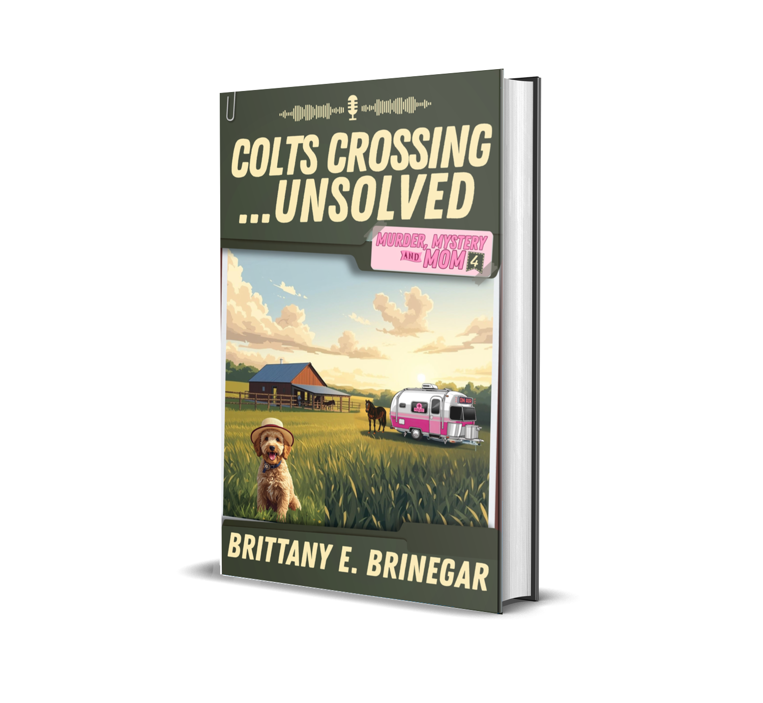 Colts Crossing ...Unsolved | Brittany Brinegar