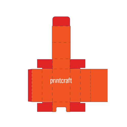 Template for Custom Printed Display Box