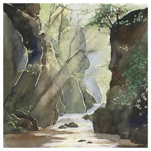 Dogfalls, Glen Affric - ART CARD | DavidHollidayArtist