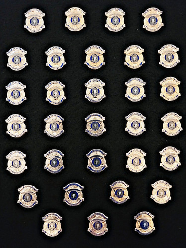 Fallen Memorial Pin Collection | WSP Memorial Foundation