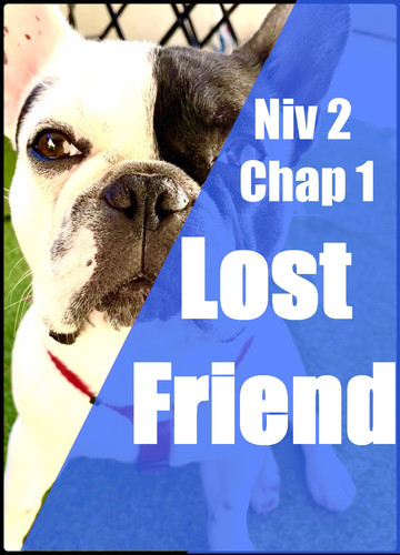 Lost Friend Chapter 1 Level 2 | EasyAnglais