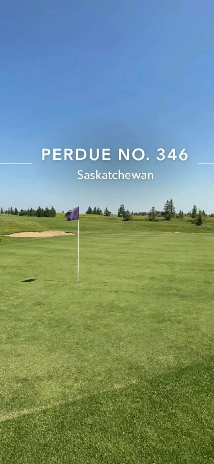 Home | Perdue Oasis Golf Course