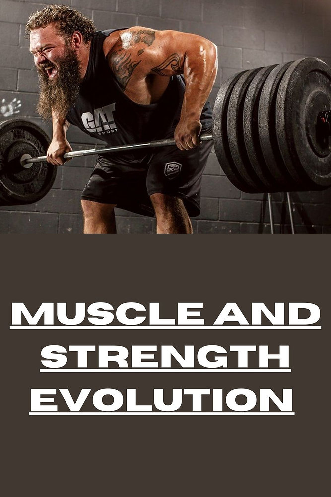 Muscle and Strength Evolution