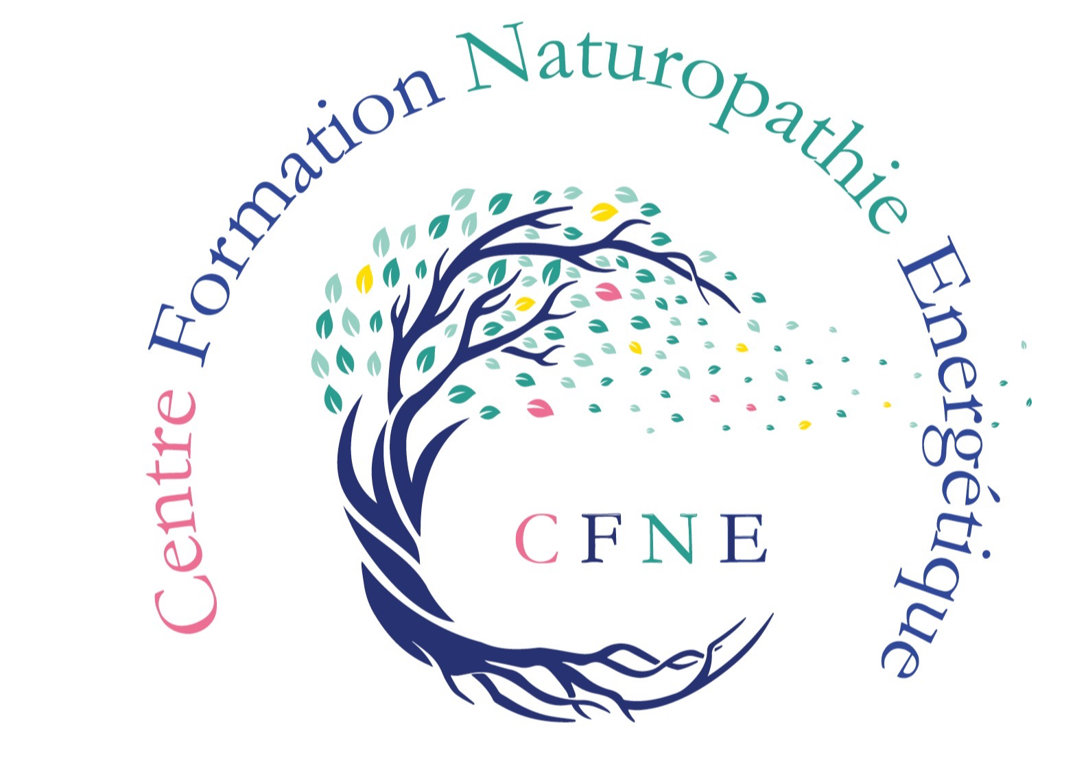 Centre Formation Naturopathie Energetique | Grasse | Paca | CFNE