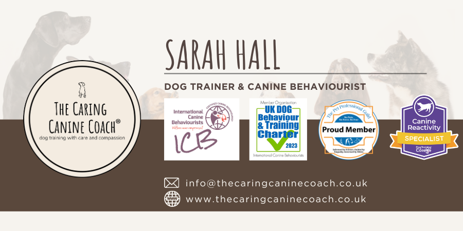 Dog Trainer & Canine Behaviourist | The Caring Canine Coach