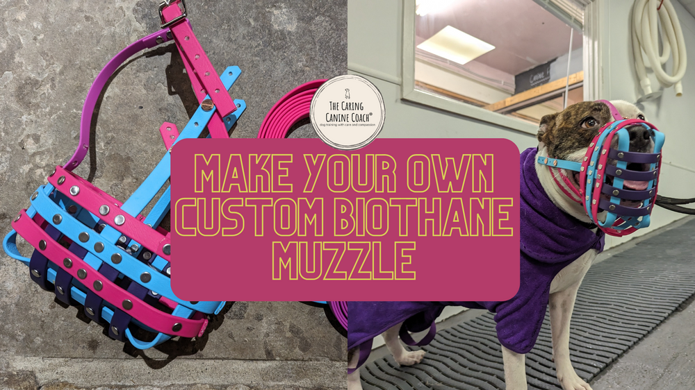 Make your own custom Biothane Muzzle | The Caring Canine Coach