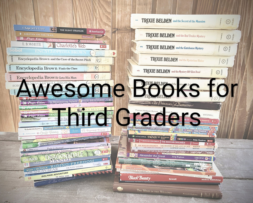 20 Great Books For Third Graders 20-great-books-for-third-graders