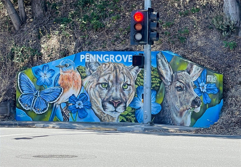 5 STUNNING BAY AREA MURALS