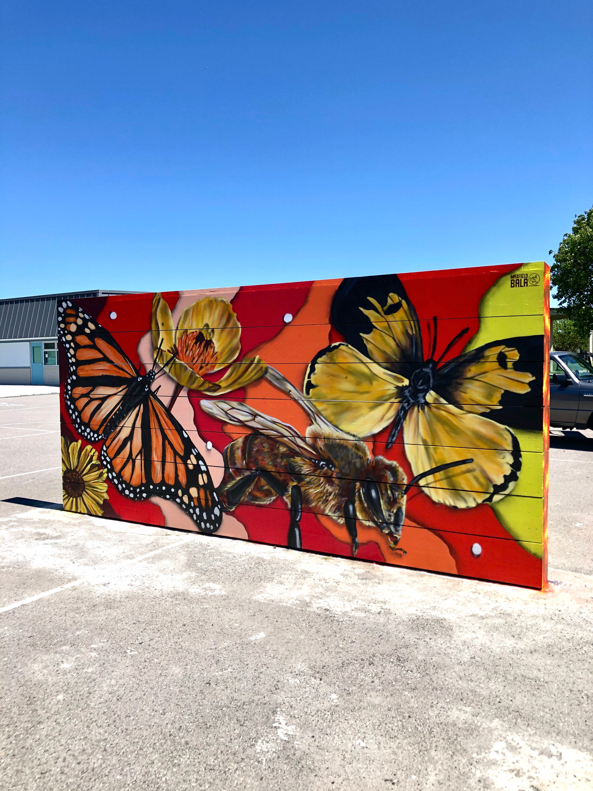 Wildlife Murals | San Francisco, Ca | Bala Creative Murals