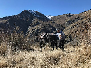 LAKE HAWEA | tracks