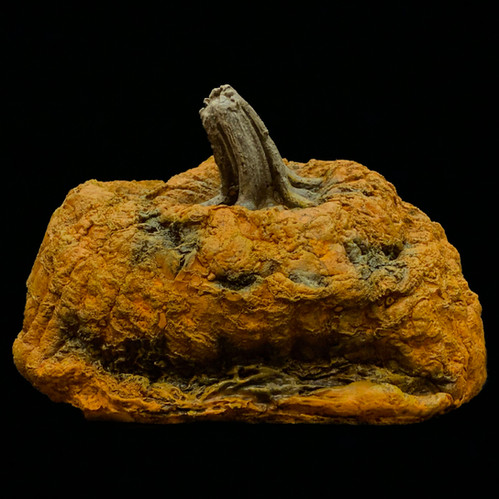 Rotten Pumpkin - Kreeg | FNS 2024