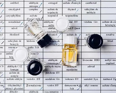 WORKSHOPS | My Site 13