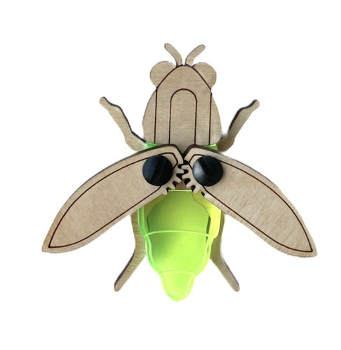 Insect DIY Kit | Caraway's Gifts