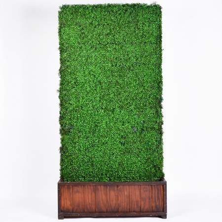 Box Wood Wall | My Site