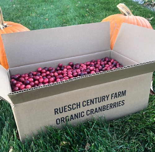 10 pound box of fresh, organic cranberries | Ruesch Century Farm