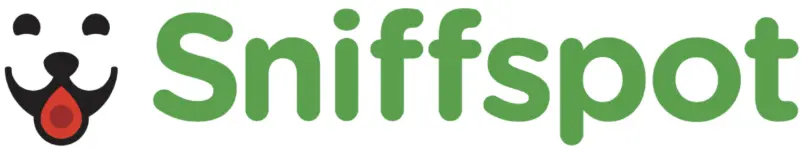 Dog Daycare | Paradise Paws | United States